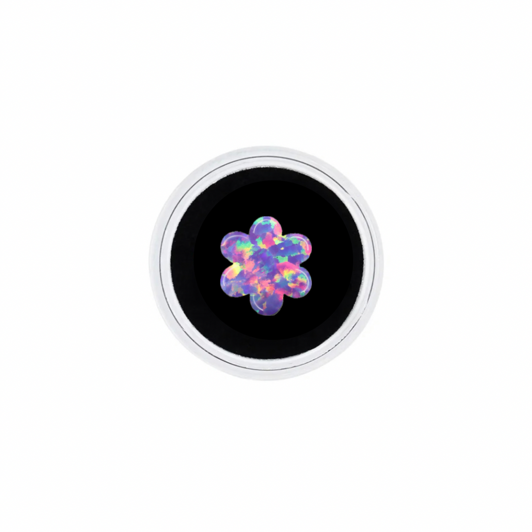 The Tooth Fairy Melbourne 💫 – The Tooth Fairy melb