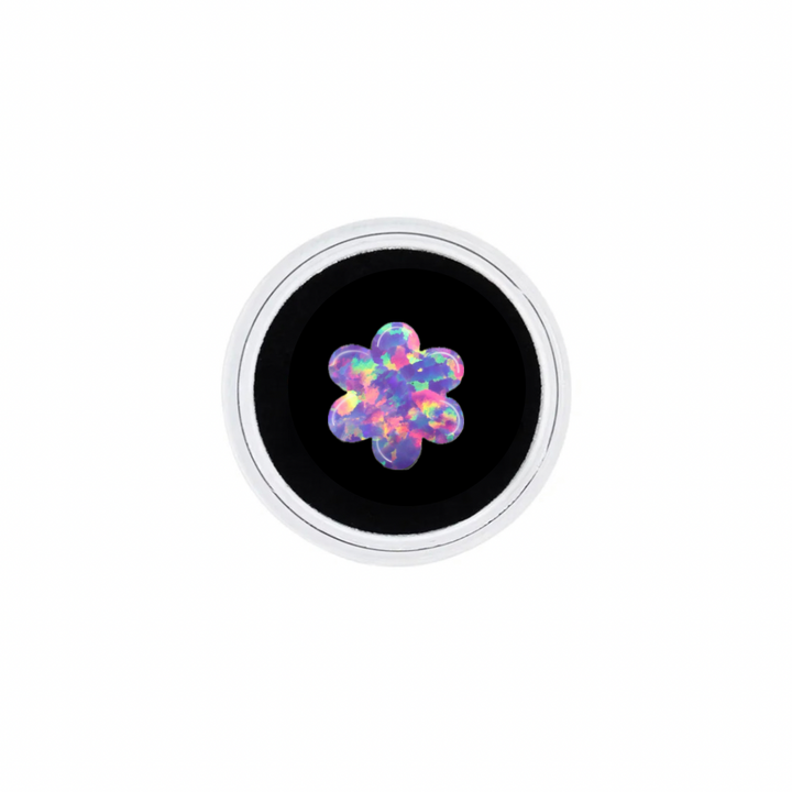 The Tooth Fairy Melbourne 💫 – The Tooth Fairy melb