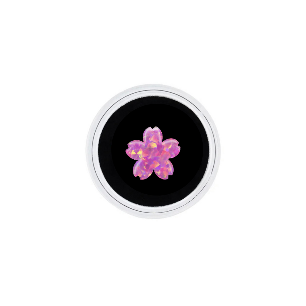 The Tooth Fairy Melbourne 💫 – The Tooth Fairy melb